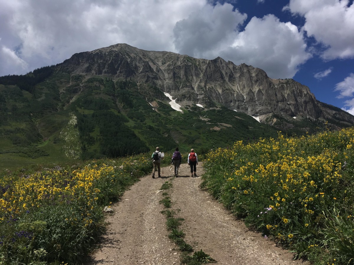 Undergraduate Research at the Rocky Mountain Biological Laboratory ...