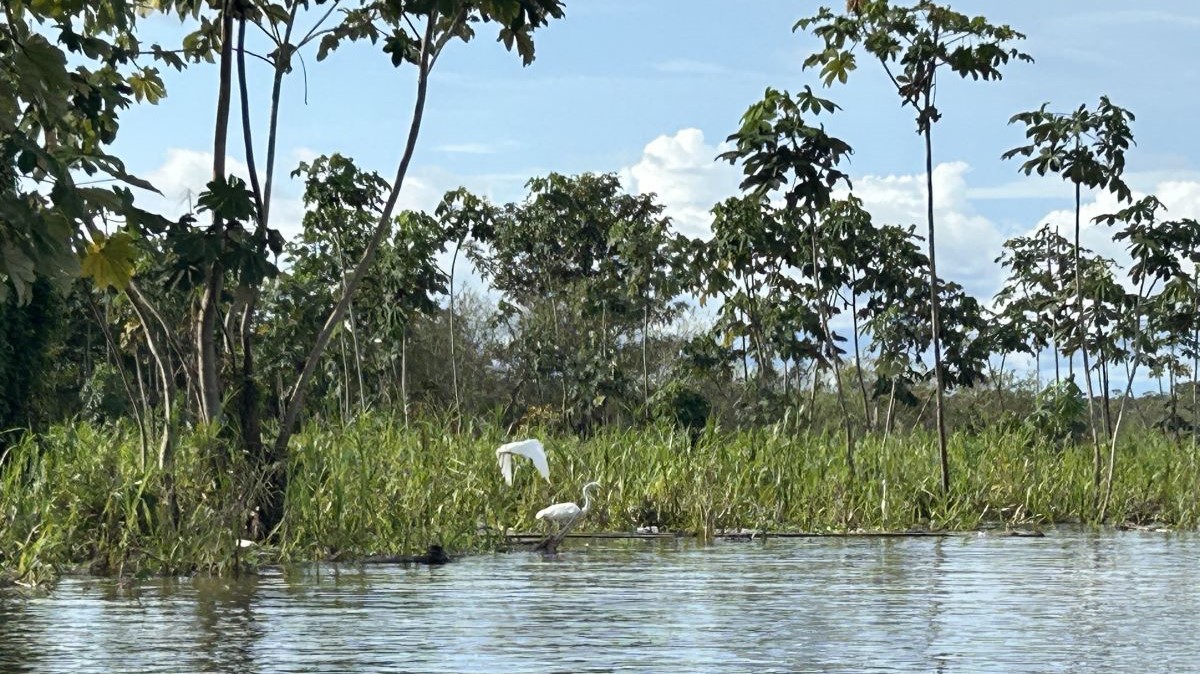 Reflections: Peru field course spring 2025 – Department of ...